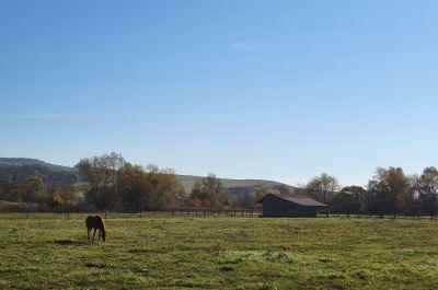 Visit Romania in 2023 with Help from a Local Friend! - Romanian Friend