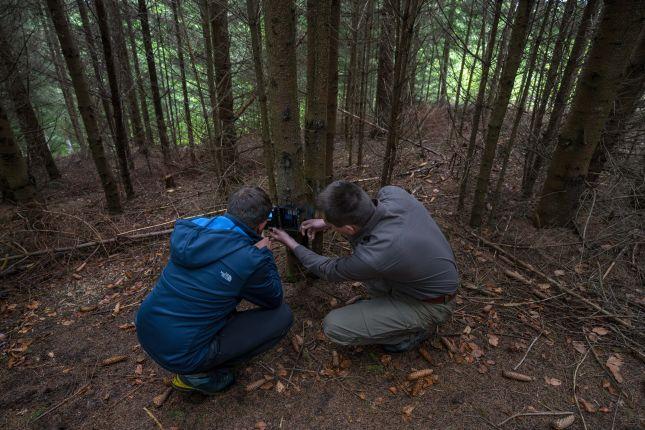 3-Day Hiking & Wildlife Tour in Romania - Romanian Friend