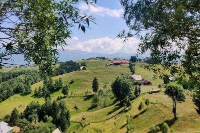 Visit Romania with Help from a Local Friend! - Romanian Friend